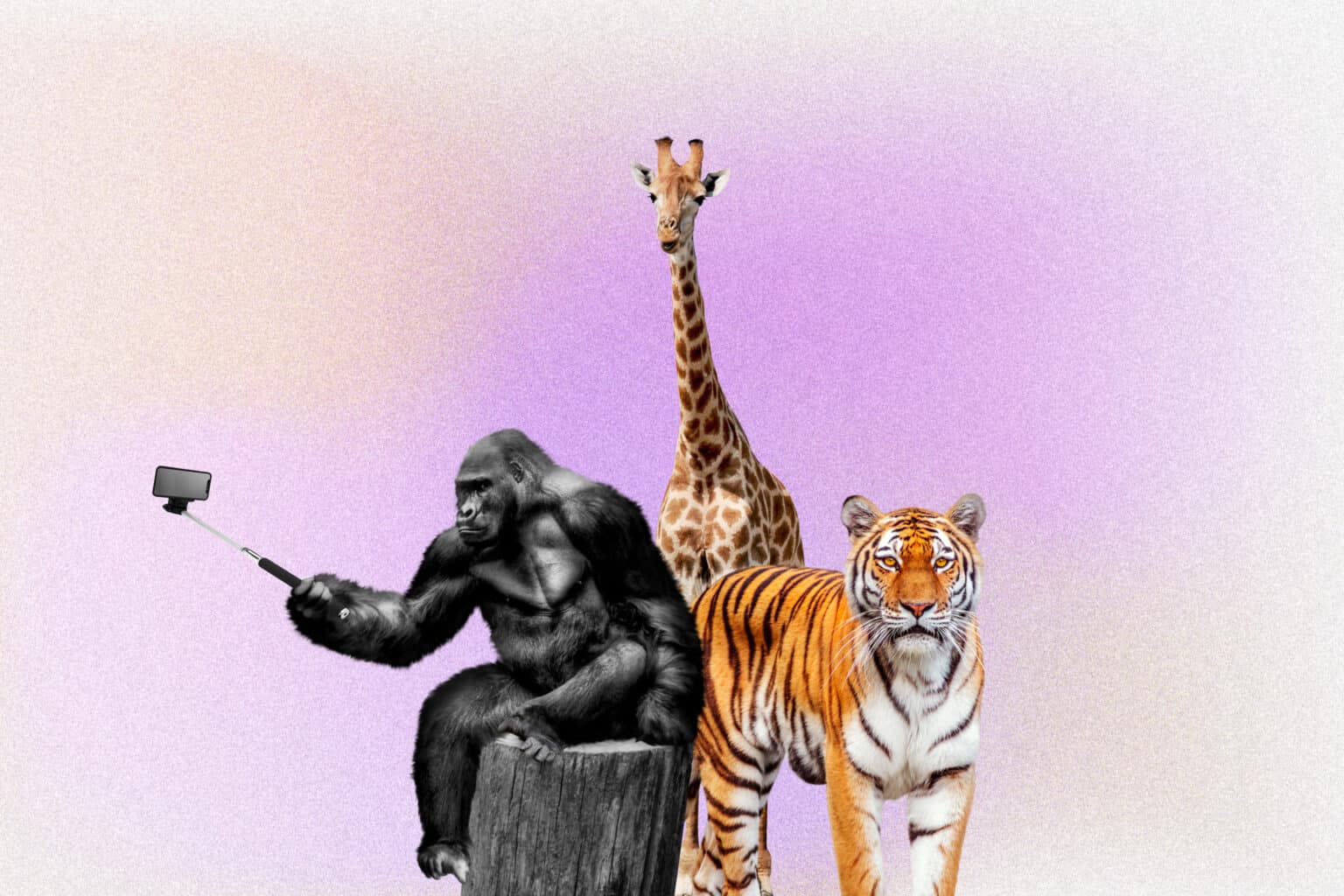 100 Very Best Animal Trivia Questions 2026