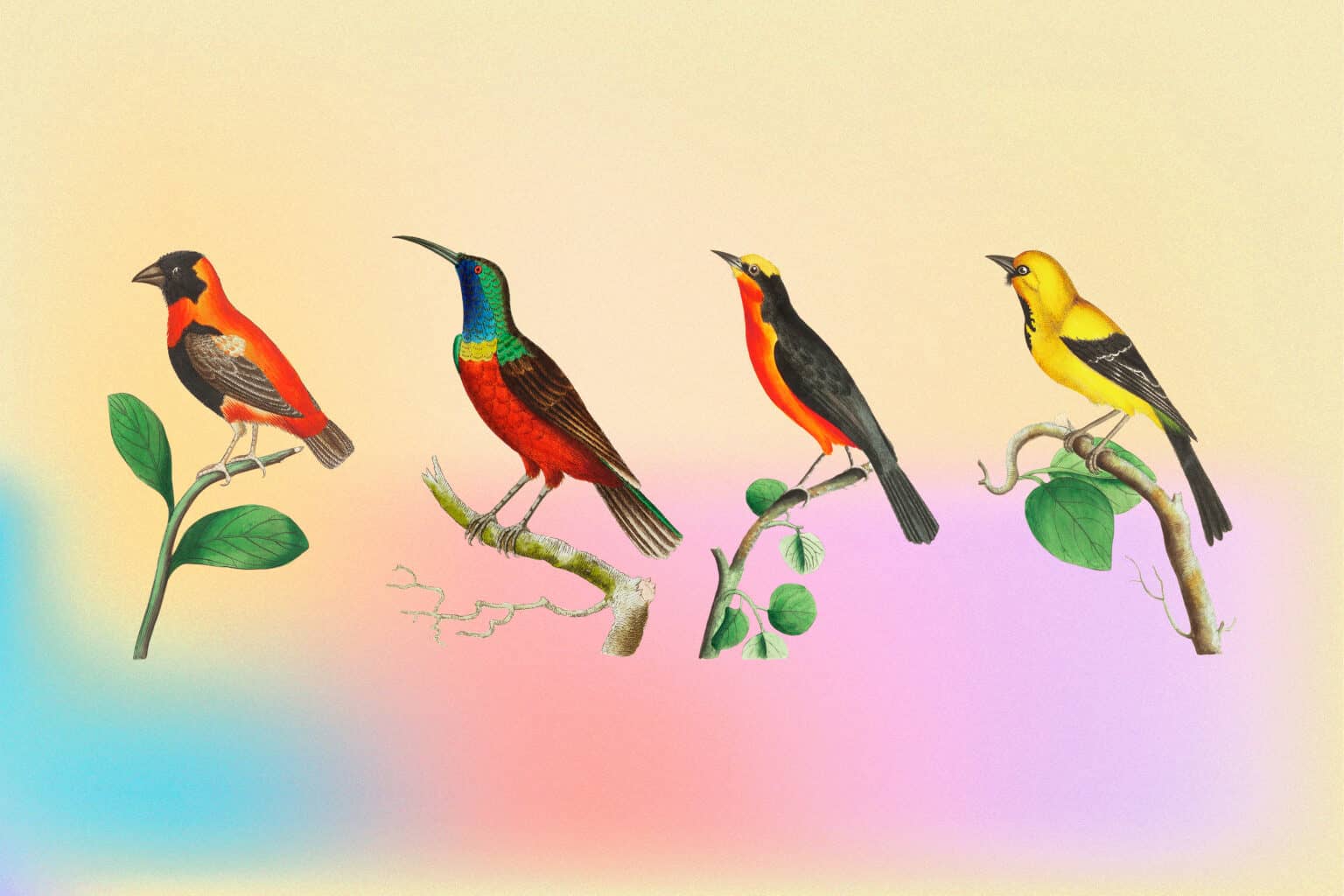 110 Hilarious Bird Jokes 2025