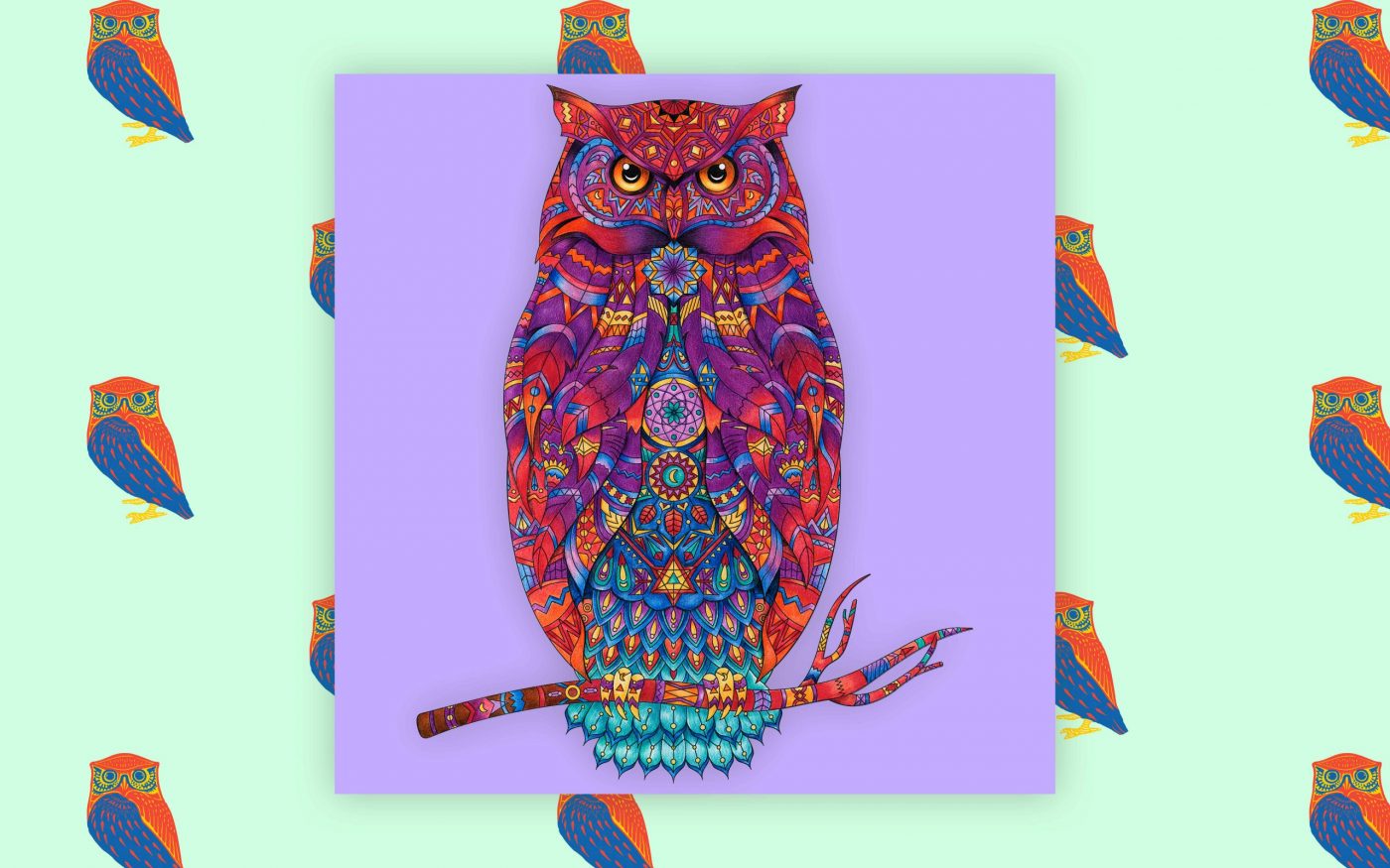 120 Beautiful Owl Names With Meanings 120-beautiful-owl-names-with-meanings
