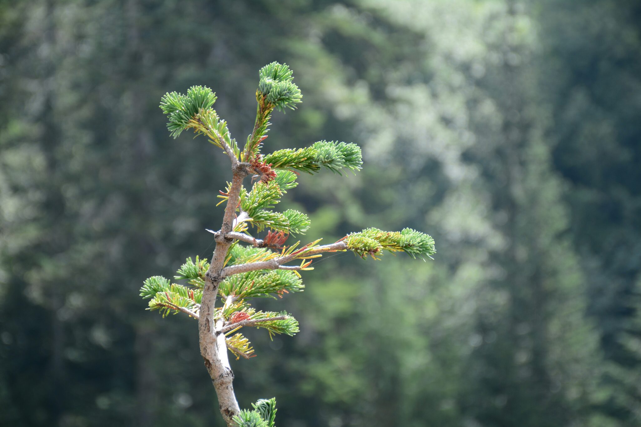 55 Best Rizz Lines 2025