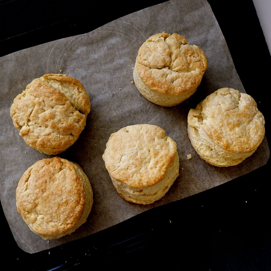 20 Disney Code Words List You Never Knew Existed