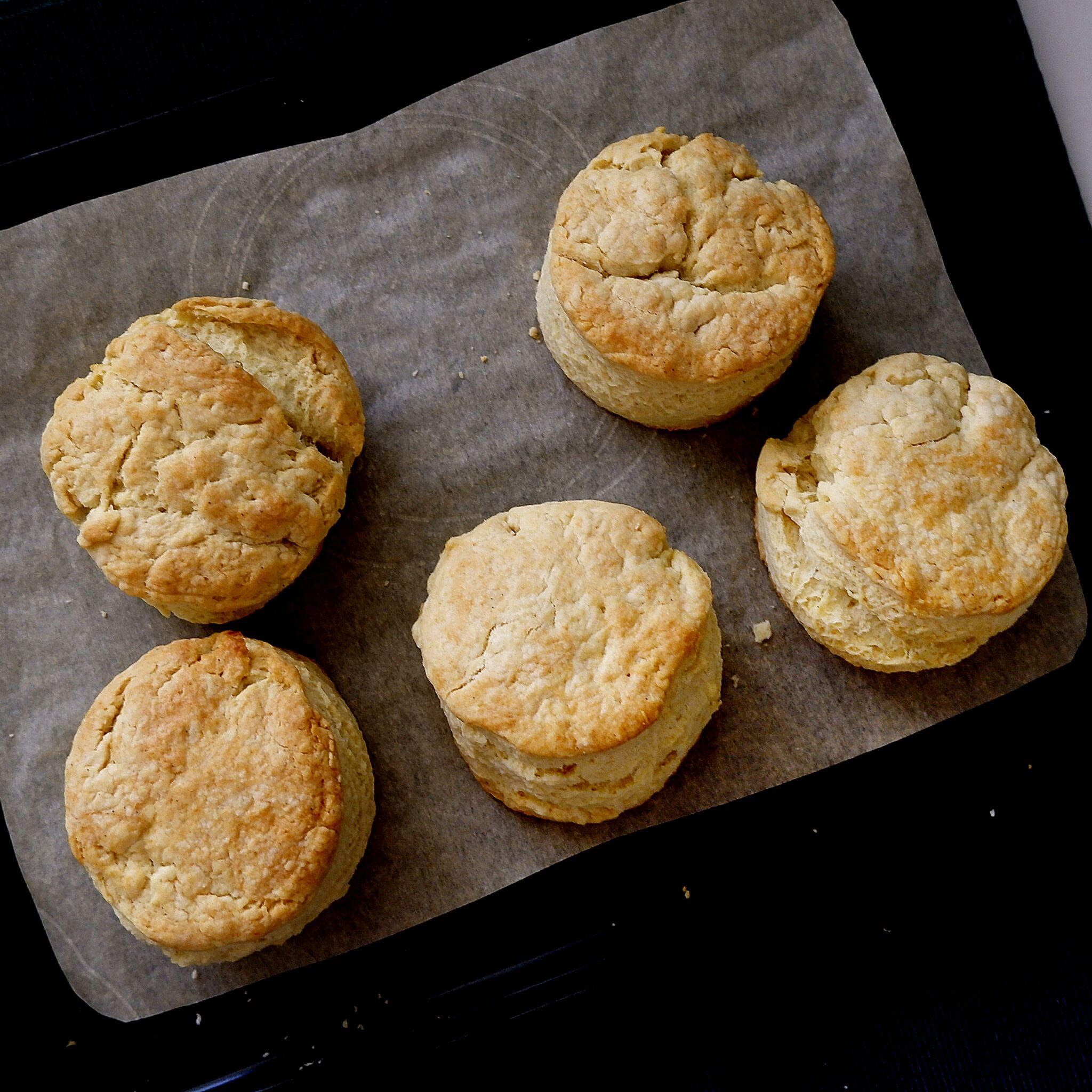 90 Poetic Rizz Lines to Charm the Object of Your Affection