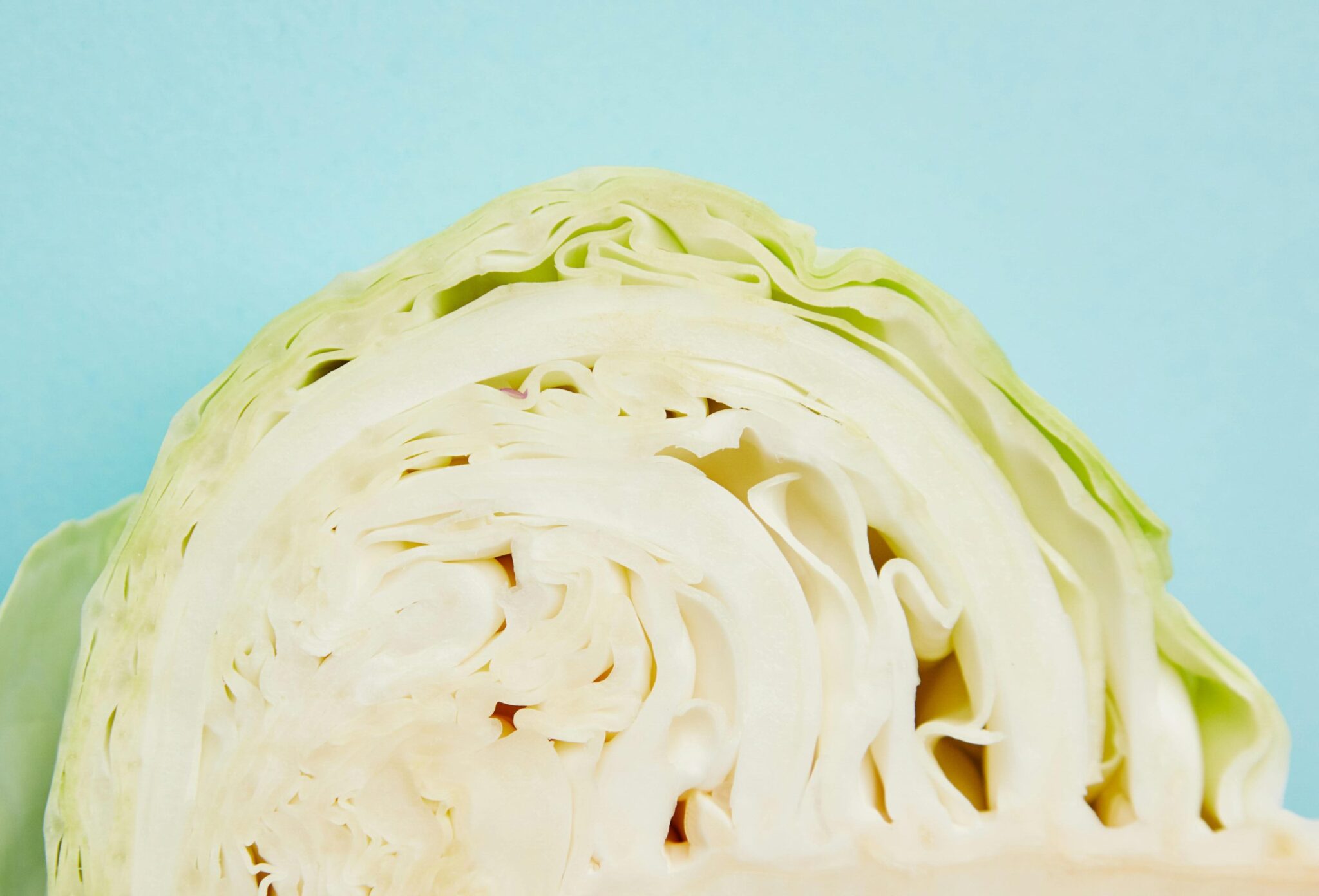 90 Poetic Rizz Lines to Charm the Object of Your Affection